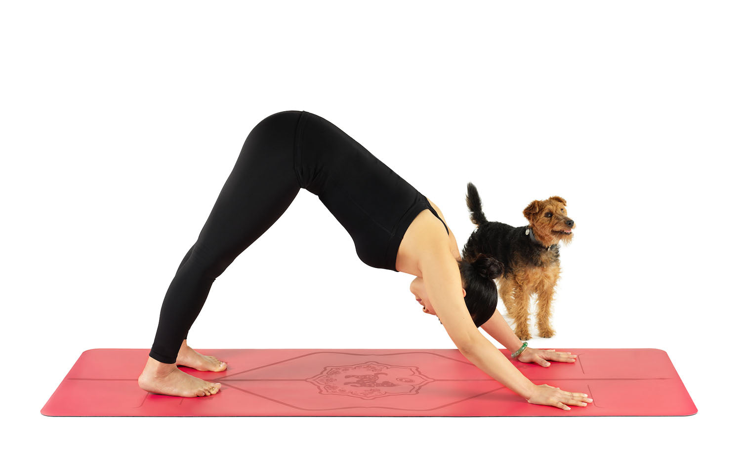7 Essential Downward Dog Variations | Liforme
