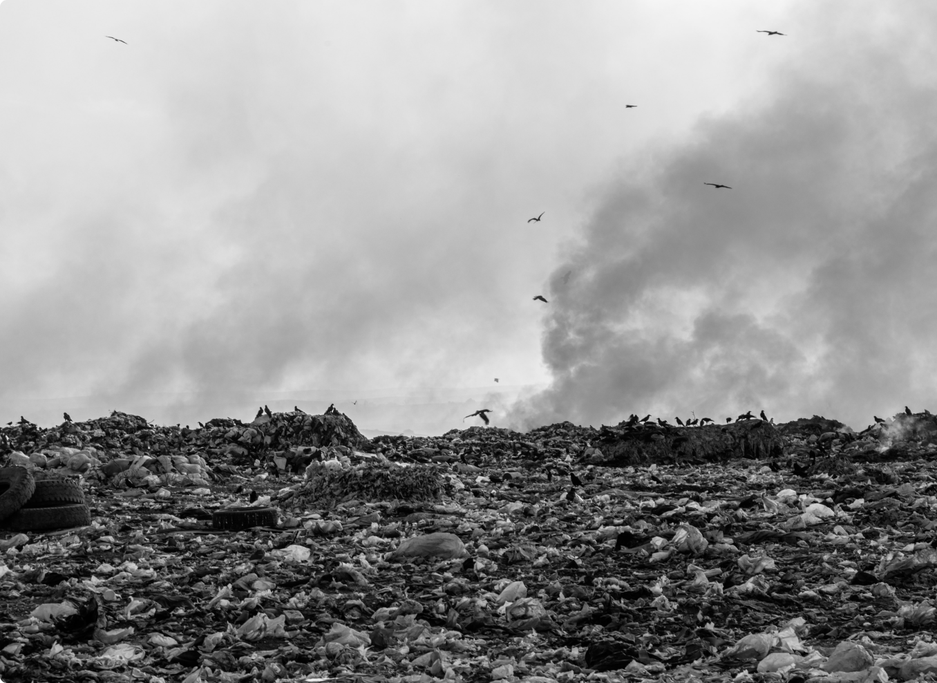 10+ Creative Ways to Repurpose Your Old Yoga Mat | Liforme’s ...